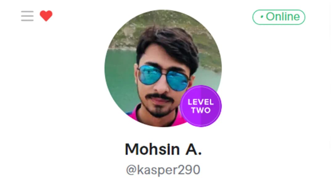 Mohsin Akram - Software Engineer